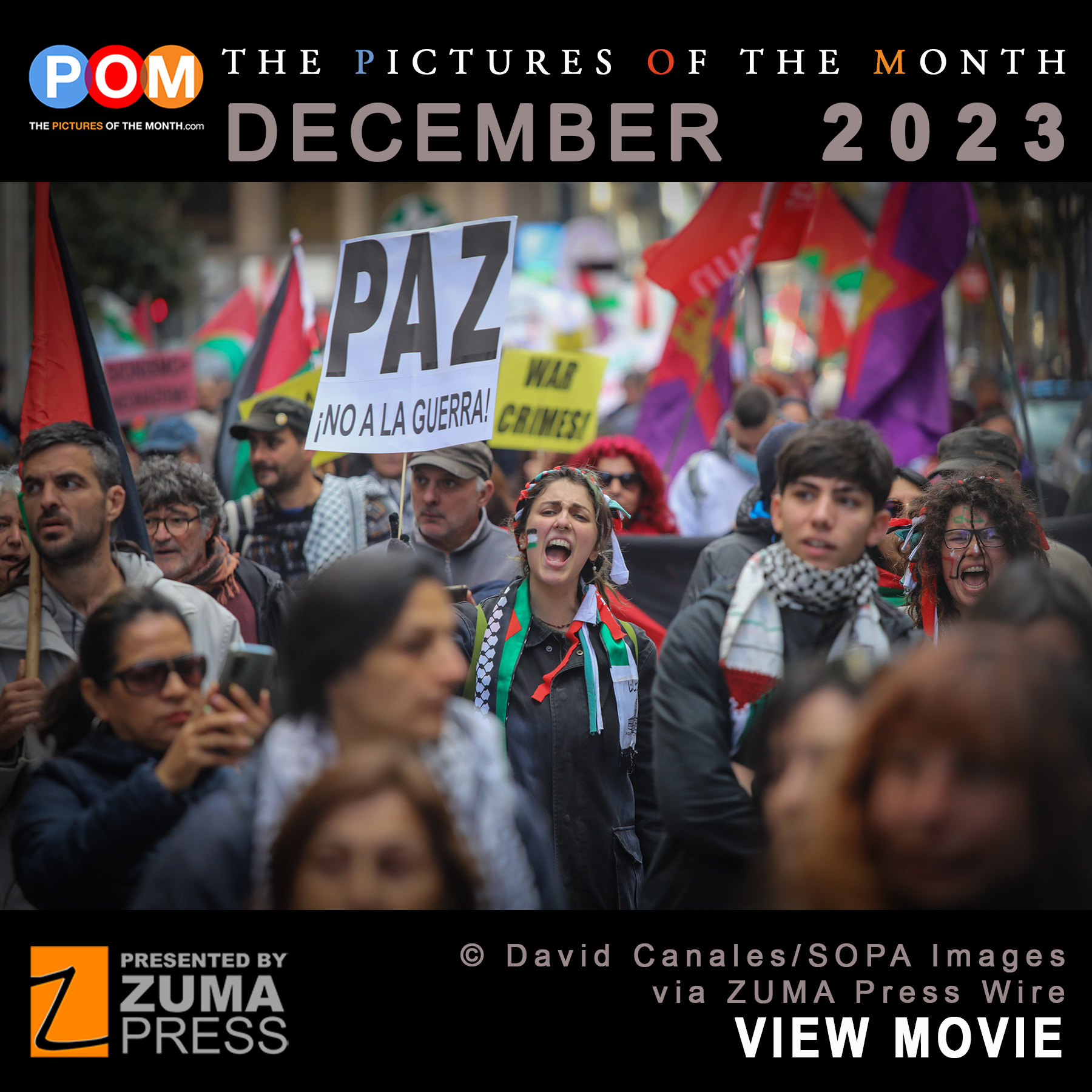 ZUMA Proudly Showcases The Pictures of the Month December 2023 ...