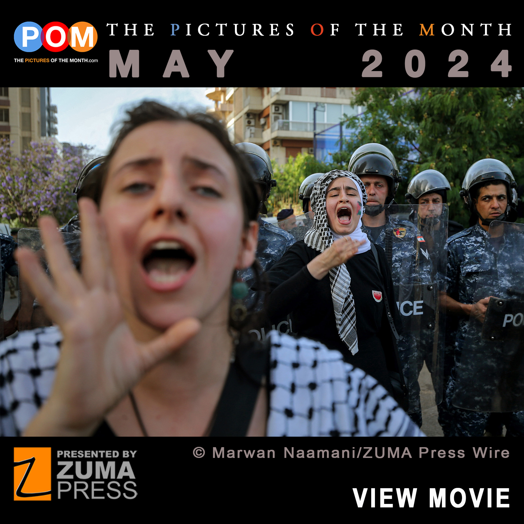 ZUMA’s MAY 2024 Pictures of the Month is Live! | ZUMAland.com