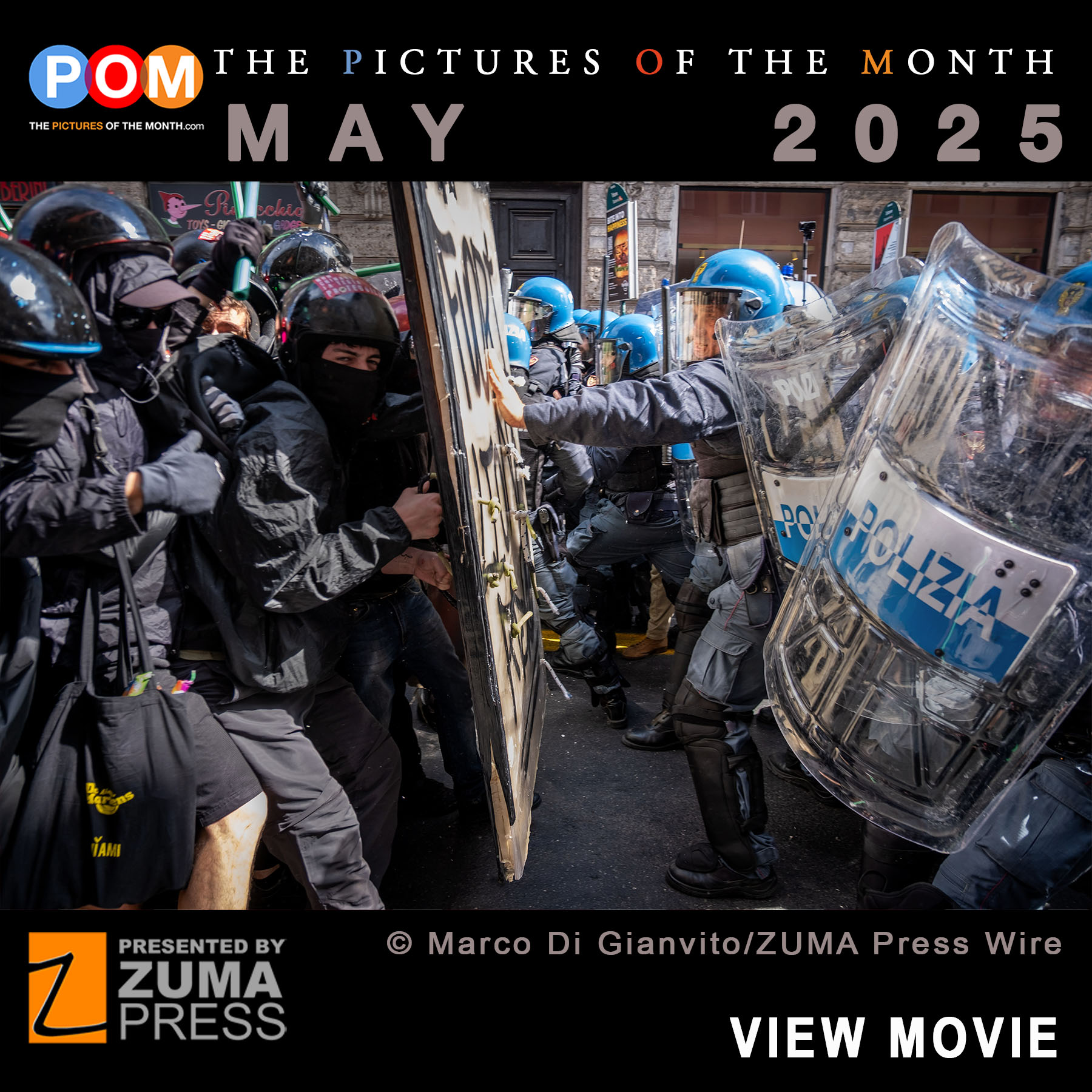 ZUMA’s May Pictures of the Month is Available NOW | ZUMAland.com